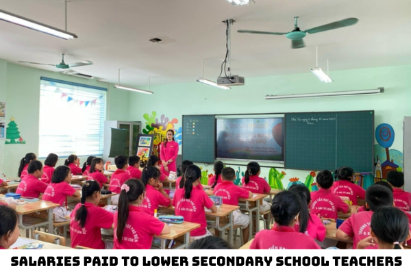 Vietnam: What is the payroll applicable to lower secondary school ...